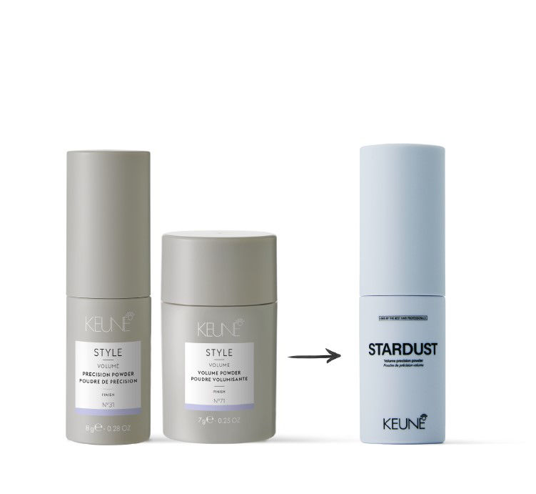 Hairtech. STYLE Precision Powder No.31 - 8g